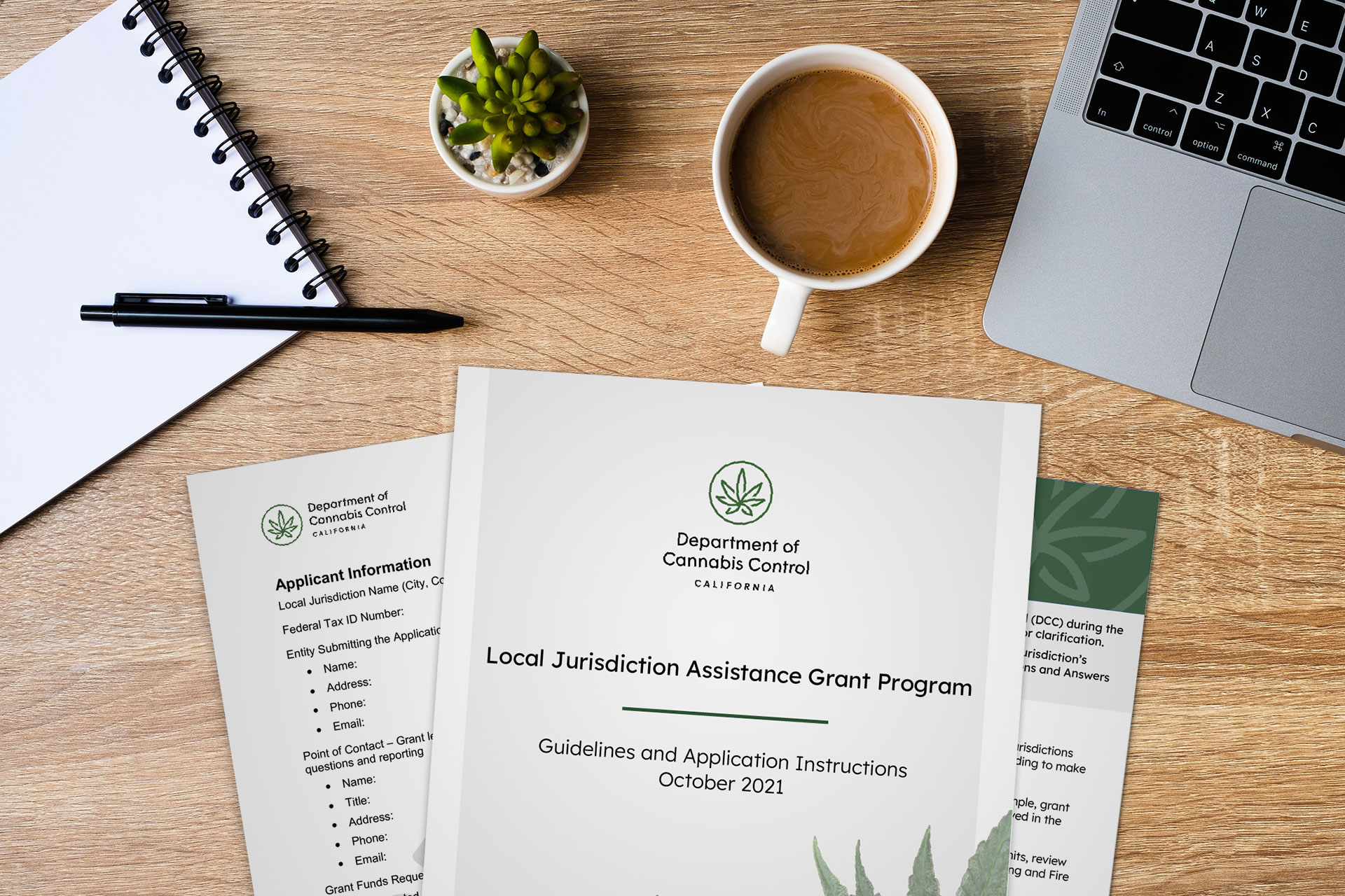 California State Auditor